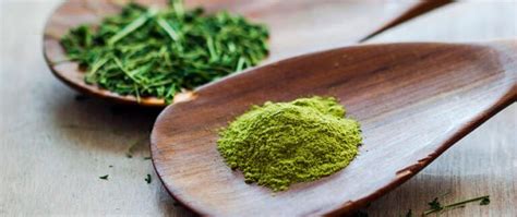 Whats The Difference Between Sencha Tencha And Matcha