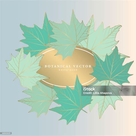 녹색 단풍잎이 있는 식물 금 스티커 텍스트 엽서 광고 소책자의 배경 0명에 대한 스톡 벡터 아트 및 기타 이미지 0명 꽃 식물 디자인 Istock