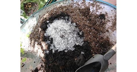 Подготовка и обеззаразяване на торопочвена смес за разсад на зеленчуци Български Фермер