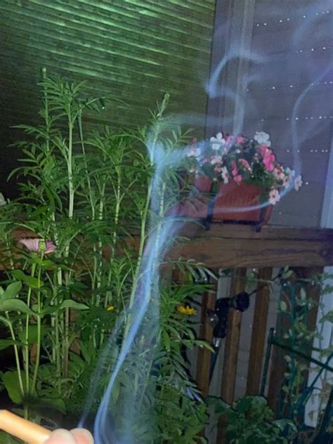 Aphrodite 💖top 2 On Onlyfans 🥵 Onlyfans Account Jerri Thedancer