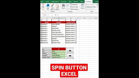 Spin Button Excel Cara Memasang Spin Button Di Excel Youtube