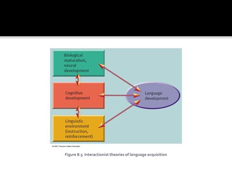Ppt Language And Thought Powerpoint Presentation Free Download Id