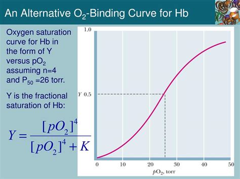 Ppt Chapter 15 Enzyme Regulation Powerpoint Presentation Free Download Id3259988