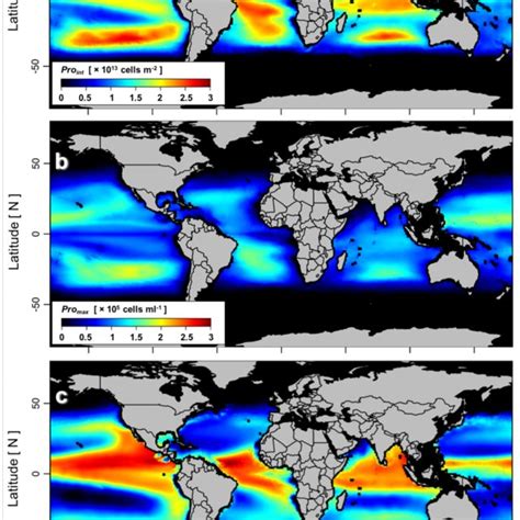 Figure S8 Relationship Between Prochlorococcus Cell Abundance At The Download Scientific