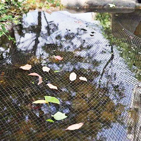 Rainleaf 7 X 10 Pond Netting Colossal Koi