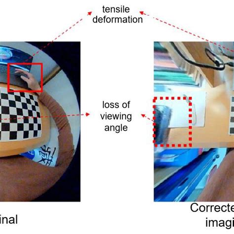 Corrected For Pinhole Camera Model Results Schematic Download Scientific Diagram