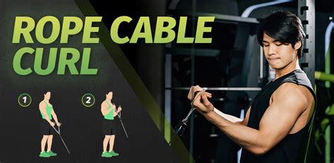 7 Bicep Isolation Exercises To Try Bicep Workout Fit Kit 7 Bicep Isolation Exercises To Try Bicep Workout Fit Kit