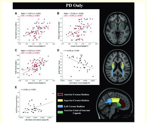 Pearsons Correlations Between Diffusion Measures And Behaviour A Download Scientific