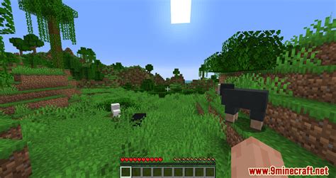 Player Health Indicators Mod 1minecraft