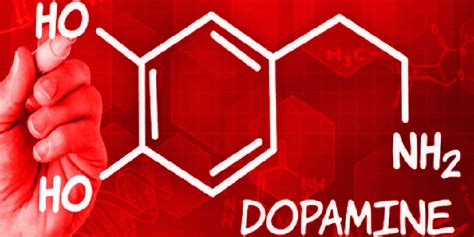 Top 8 Best Natural Dopamine Boosters Dr Chuang