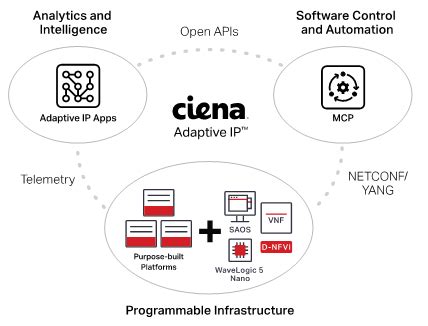 Because You Asked Adaptive IP Ciena