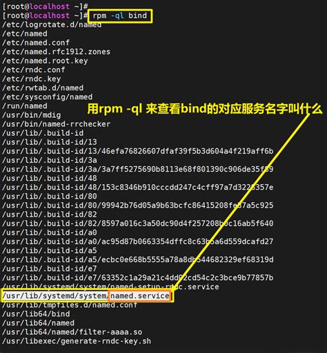 Linux中的dns的安装与配置防火墙需允许访问dns53怎么设置linux Csdn博客 Linux中的dns的安装与配置防火墙需允许访问dns53怎么设置linux Csdn博客