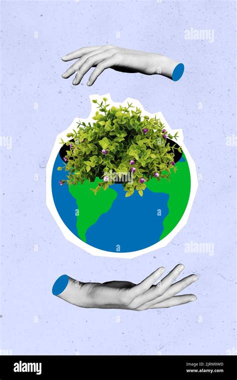 Safe People Earth Concept Collage Of Two Hands Helping Forest Ecosystem