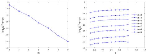 Solving Time Fractional Partial Differential Equation Using Chebyshev