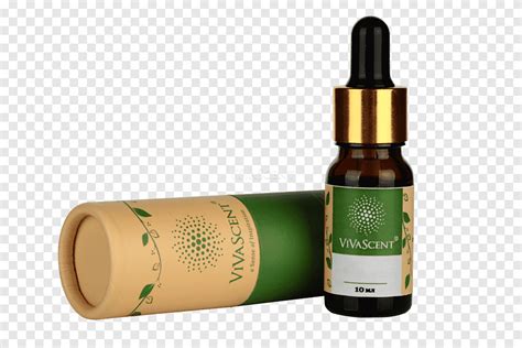 에센셜 오일 껌 나무 쑥 소나무 에센셜 오일의 뒷면을 엽니 다 기타 잎 Png Pngegg