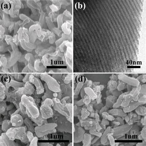 A Sem Image Of The Cmk 3 B Tem Image Of The Cmk 3 C Sem Image Of Download Scientific