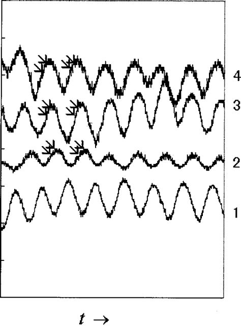 Oscilloscope Traces Of Velocity Disturbances At Various Distances From Download Scientific