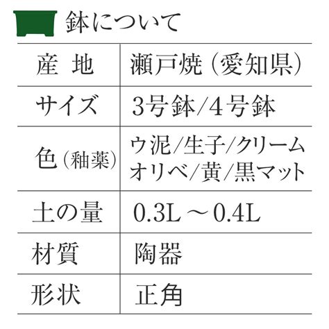 【楽天市場】盆栽鉢 植木鉢 瀬戸焼 鉄鉢 3号 4号 5号 6号 75号 ウ泥 生子 クリーム オリベ 黄 黒マット 山野草鉢 観葉植物 多肉植物 円形 丸 浅型 浅鉢：盆栽妙 楽天市場店