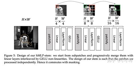 关于vit，你必须要知道的三点改进 知乎