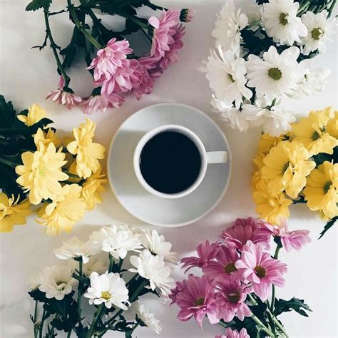 Pin By 🦁 Wang Yibo 🦁 Fan On Flowers Coffee Time Coffee Cafe I