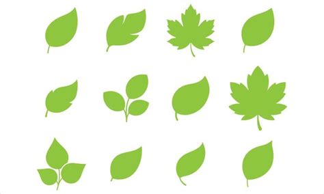 Leaf Animation Vector Art Icons And Graphics For Free Download