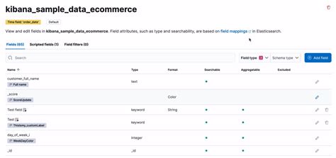 Runtime Fields Ux Allow Filtering For Runtime Fields In Data View