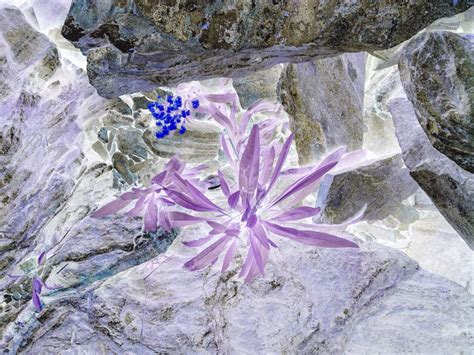 Art Science Women And Earth Dawn Watson Lenscratch