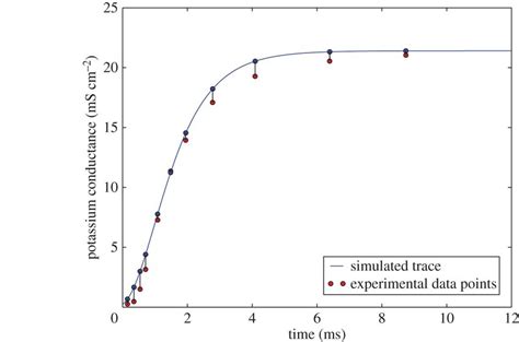 Representation Of Distance Calculation For Potassium Conductance