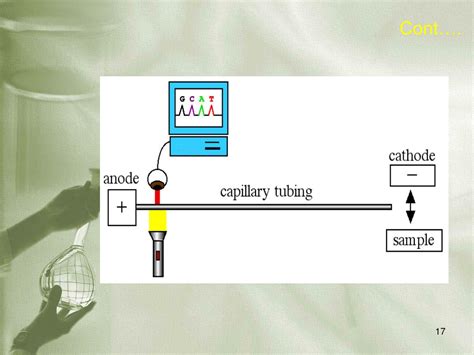 Ppt Principle And Instrumentation Of Capillary Electrophoresis