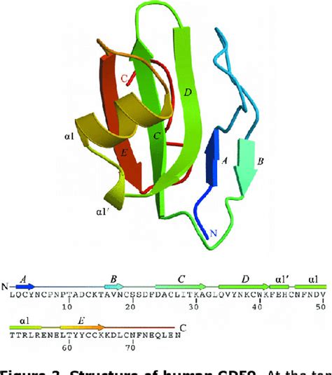 Figure 3 From Evasion Of The Terminal Complement Pathway By Human