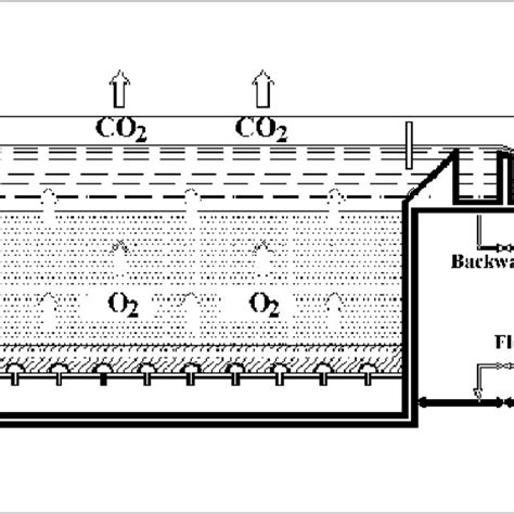 Upflow Aerobic Submersed Wastewater Biofilter Download Scientific Diagram