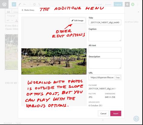 Using The Classic Editor Block Disperser Tracks Using The Classic Editor Block Disperser Tracks