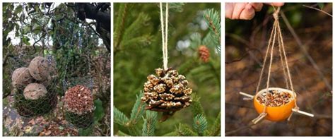 Простые кормушки для птиц своими руками из подручных материалов