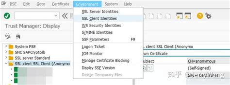 关于 Sap Abap Clclient Api 中的 Sslid 参数 知乎
