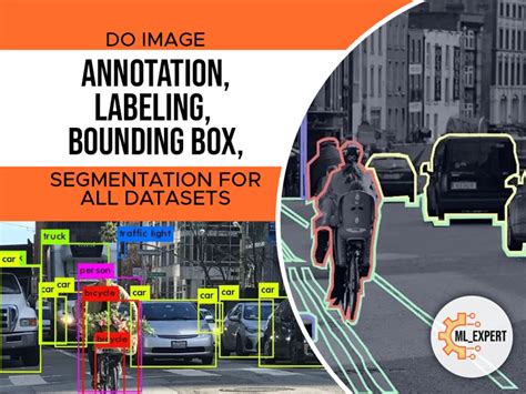 Data Annotation Labelingbounding Boxesand Segmentation For All Datasets Upwork