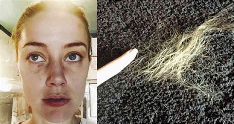 Las Revelaciones De Johnny Depp Y Amber Heard Que Causan Estupor En