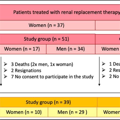 Qualification Scheme For The Research Download Scientific Diagram