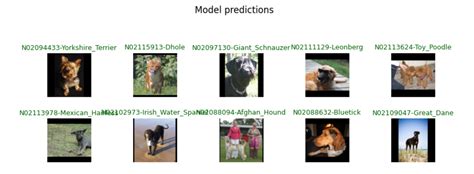 Transfer Learning With Tensorflow On Intel Arc Gpus
