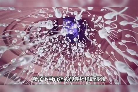 跑得最快的精子就能和卵子结合其实拼了命都是在为别人做嫁衣 卵子 嫁衣 精子