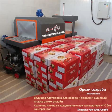 Купить сушеный инжир Оптовая цена иранского сушеного инжира Свежие и органические продукты