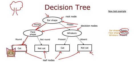 Advanced Learning Algorithm 16 Decision Trees