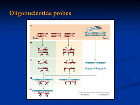 Ppt Advanced Diagnostic Aids Powerpoint Presentation Free Download Id807105