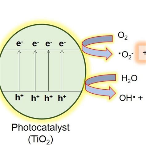 Schematic Diagram Of Photocatalysis Mechanism Using TiO As Photocatalyst Download Scientific