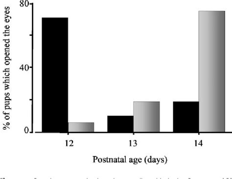 Figure 1 From Acceleration Of Visual System Development By Environmental Enrichment Semantic