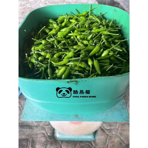 🔥hot Pedas🔥 Cili Kampung Api 100g200g500g Shopee Malaysia