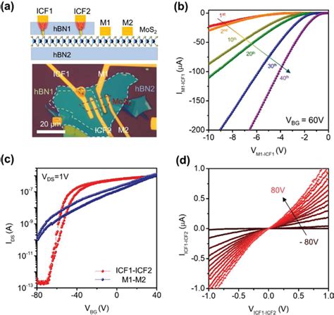 N‐type Semiconducting Transported Mos2 Fet With Icf Contact A Download Scientific Diagram