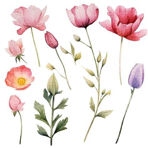 Vector Watercolor Flowers Clipart Premium Ai Generated Vector