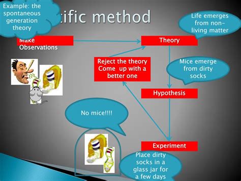 Ppt Understanding The Scientific Method In Psychology Powerpoint
