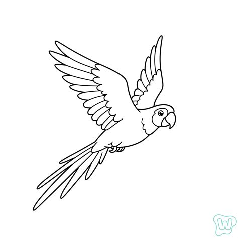 35 Guacamaya Para Colorear Descargar E Imprimir Gratis Dibujo De