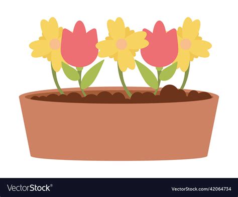 Flowers Garden Plant Royalty Free Vector Image